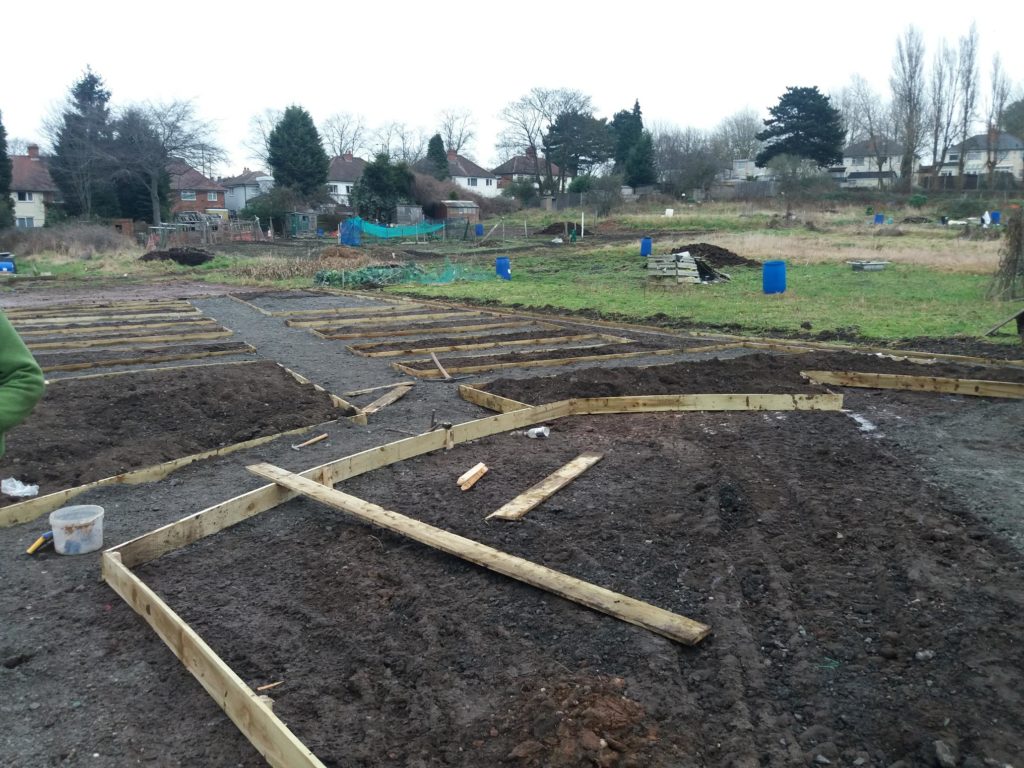 Helping The Pines School complete their allotment project | McDermotts